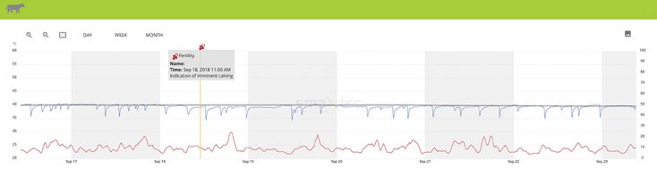 Measuring body temperature of dairy cows: effective monitoring of health