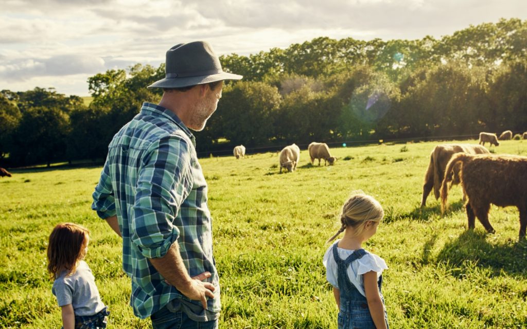 smaXtec facts and Q&A | Find answers to frequently asked questions here