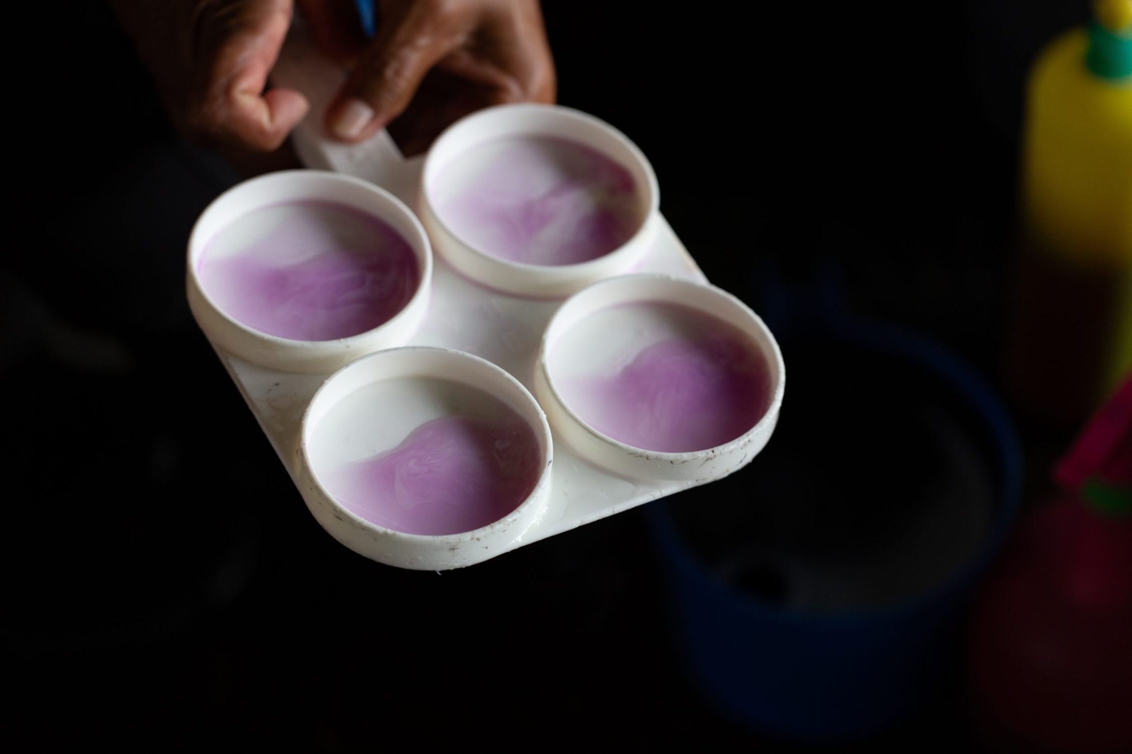 Mastitis: Detecting and treating it early with smaXtec!