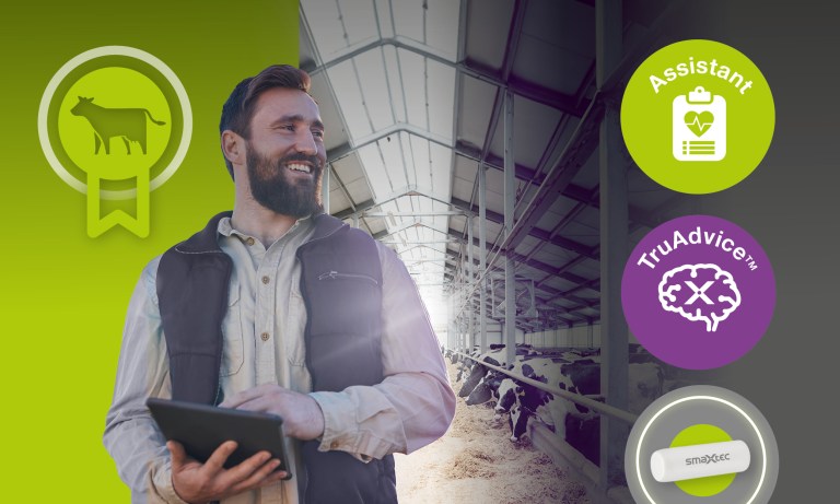 smaXtec: Early detection for dairy cows with bolus technology